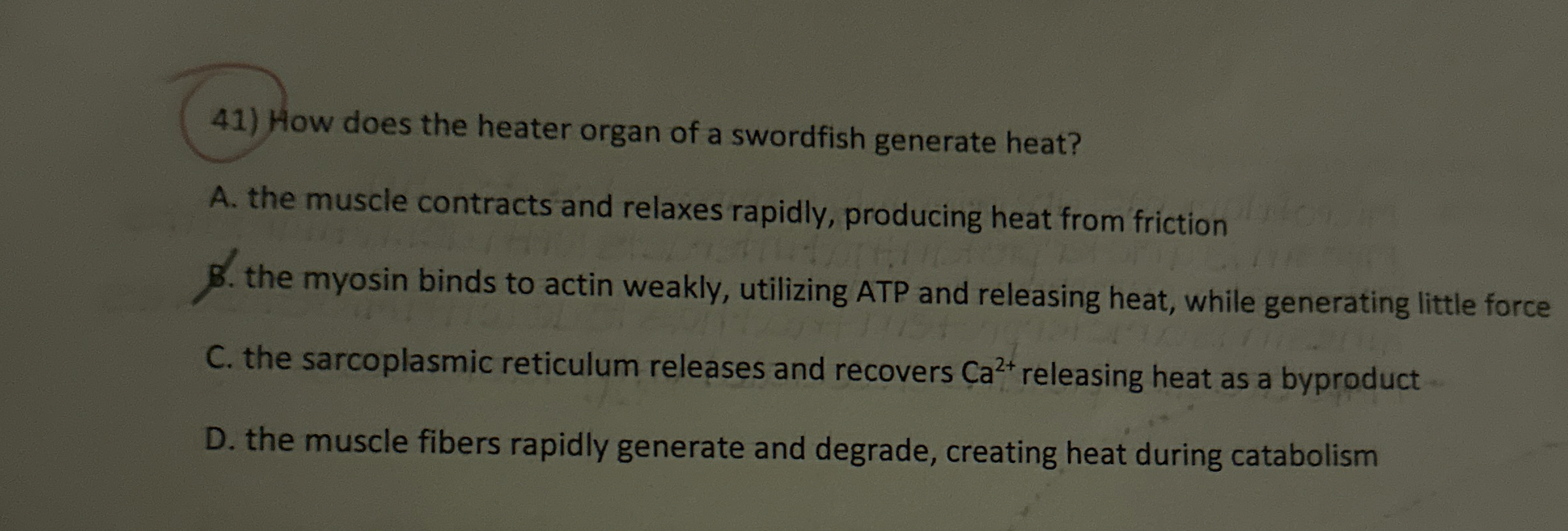 Solved How does the heater organ of a swordfish generate | Chegg.com