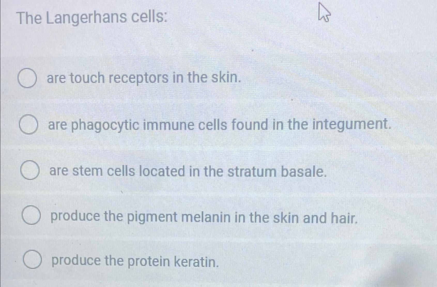Solved The Langerhans cells:are touch receptors in the | Chegg.com