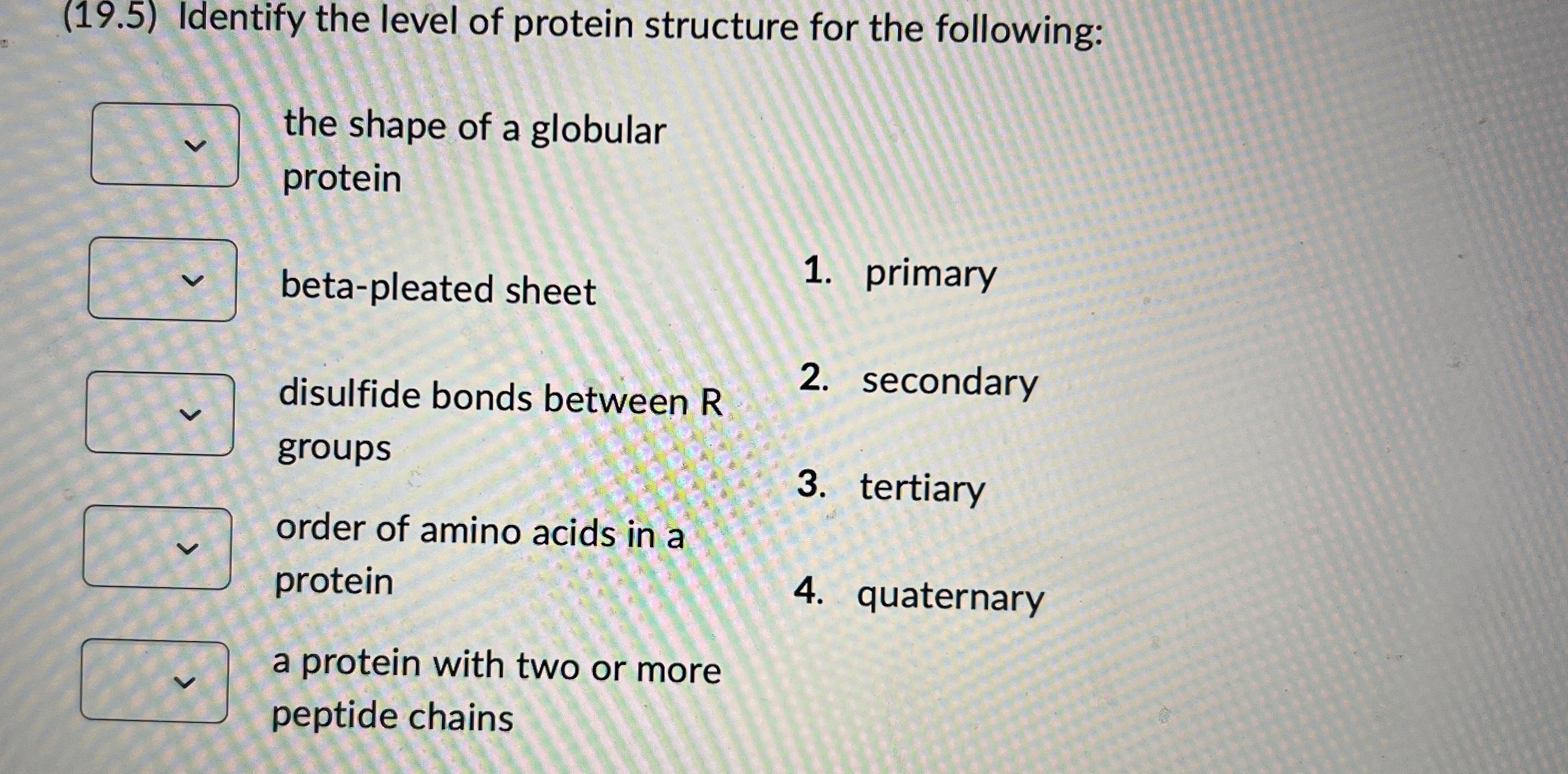 Solved (19.5) ﻿Identify the level of protein structure for | Chegg.com