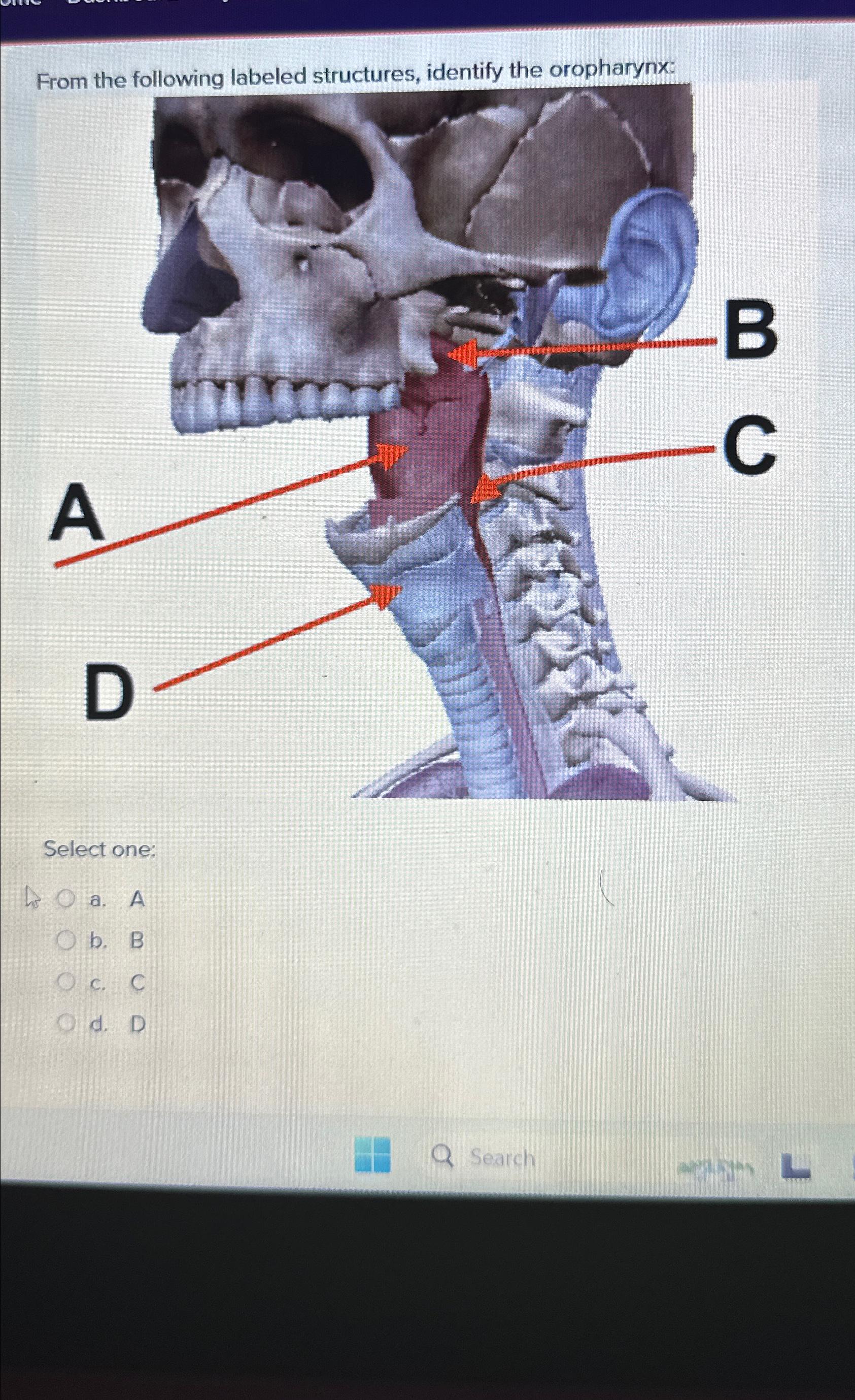 Solved From the following labeled structures, identify the | Chegg.com