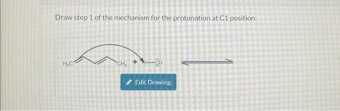 Solved Draw step 1 of the mechanism for the protonation at | Chegg.com