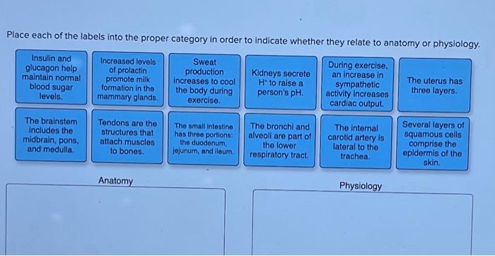 Solved Place each of the labels into the proper category in | Chegg.com