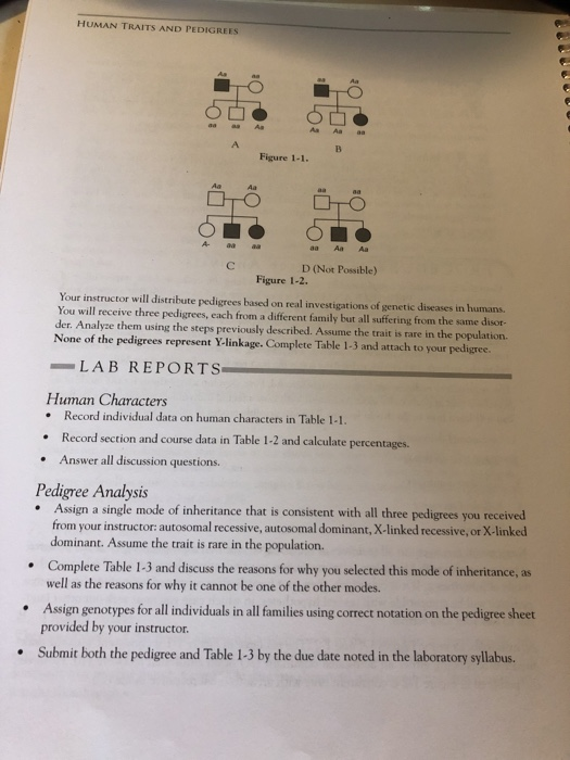 Solved HUMAN TRAITS AND PEDIGREES solution of PTC dissolved | Chegg.com