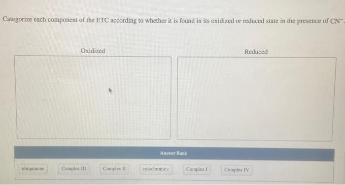 Solved Categorize each component of the ETC according to | Chegg.com