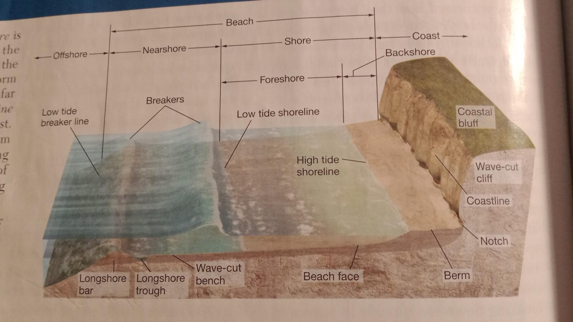 Solved To help reinforce your knowledge of beach | Chegg.com