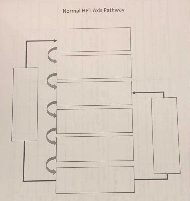 Solved 1. using the Normal HPT Axis Pathway Diagram, label | Chegg.com
