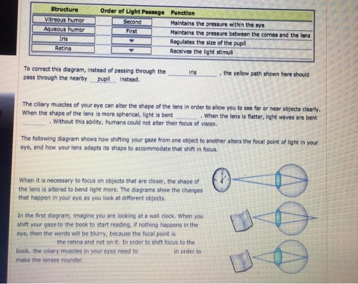Solved Structure Vitreous humor Aqueous humor Iris Retina | Chegg.com