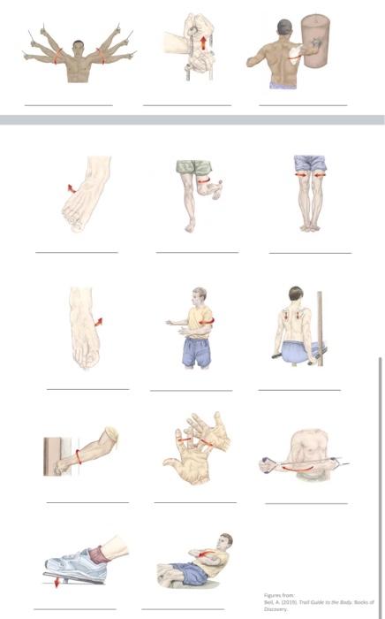 ASAP!! Fill in the blanks on this assignment with (a) | Chegg.com