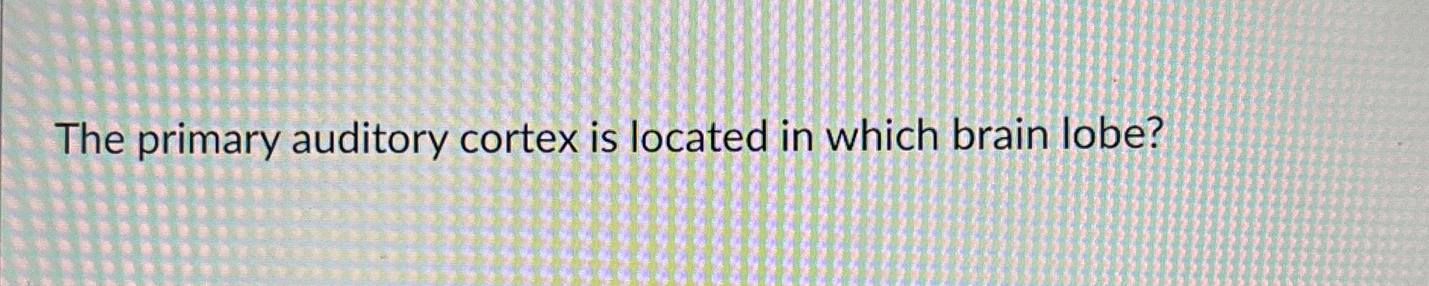 Solved The primary auditory cortex is located in which brain | Chegg.com
