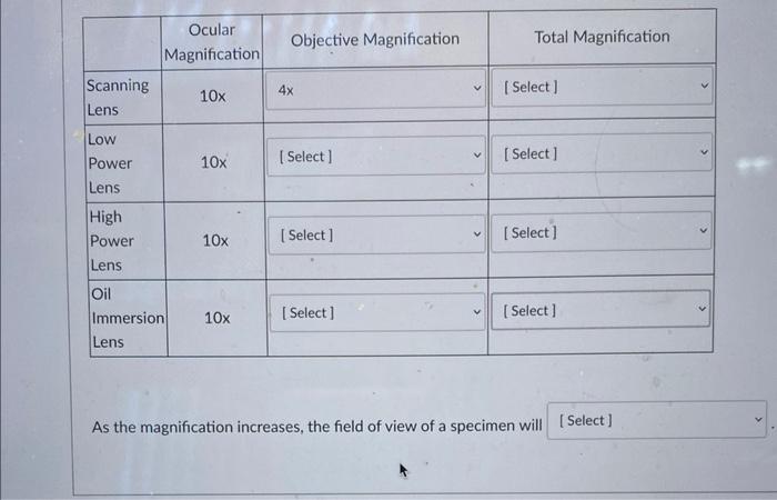 Solved As the magnification increases, the field of view of | Chegg.com