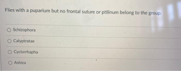Solved Flies with a puparium but no frontal suture or | Chegg.com