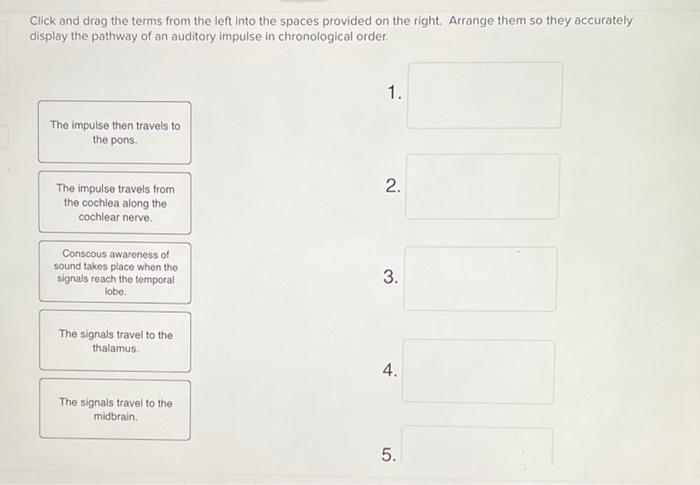 Solved Click and drag the terms from the left into the | Chegg.com