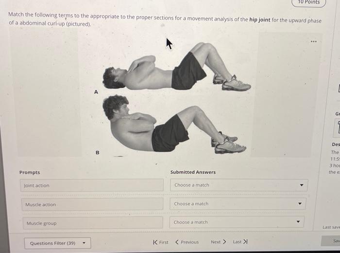 Solved Match the following terms to the appropriate to the | Chegg.com