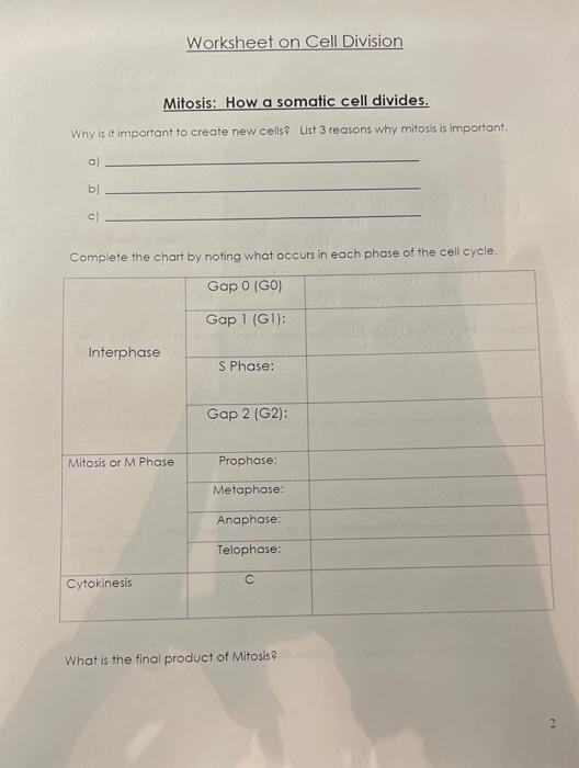 Draw the Cell Cycle: - Identify phases, subphases \& | Chegg.com