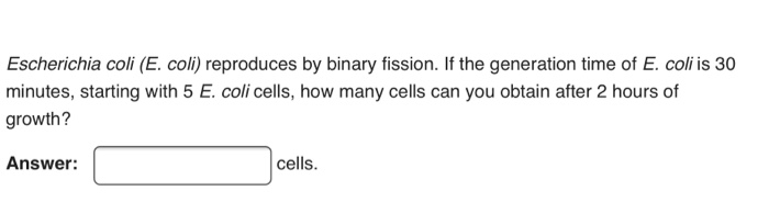 Solved Escherichia coli (E. coli) reproduces by binary | Chegg.com