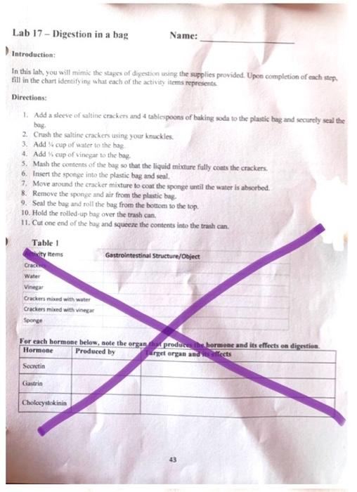 Solved Lab 17 - Digestion in a bag Name: Introduction In | Chegg.com