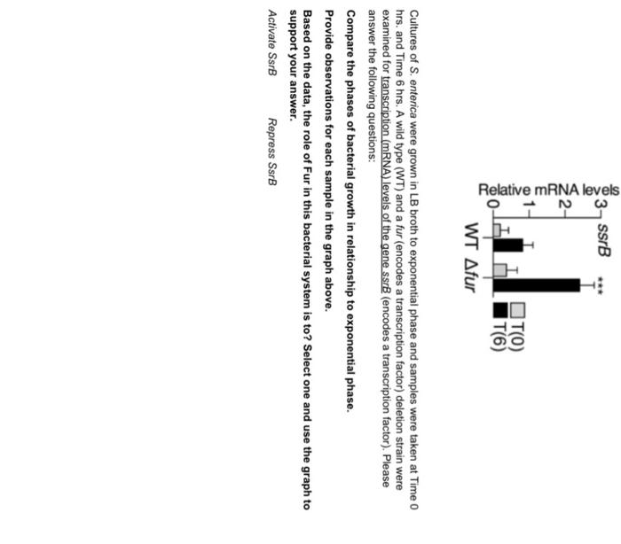 Solved Relative mRNA levels | Chegg.com