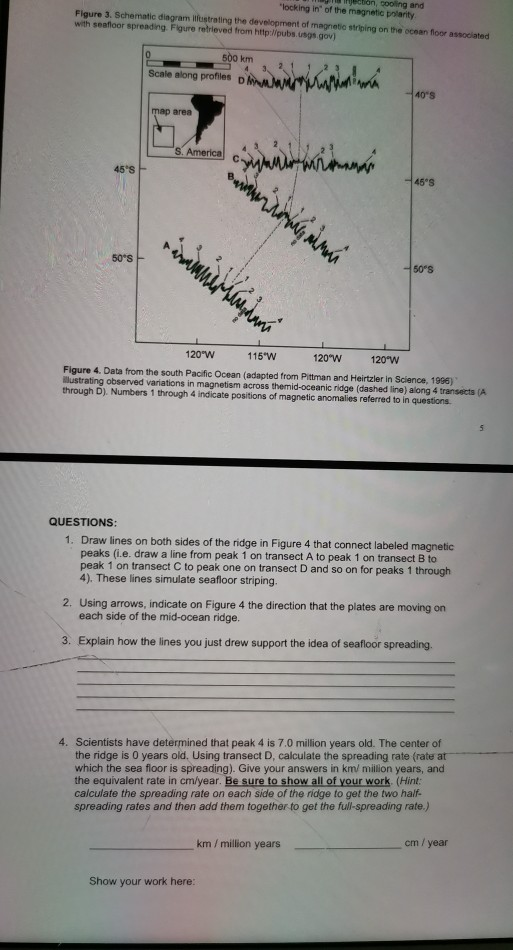 Solved: Plate Tectonics Name: INTRODUCTION Plate Tectonics... | Chegg.com