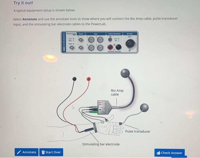 Solved Try it out! A typical equipment setup is shown below. | Chegg.com