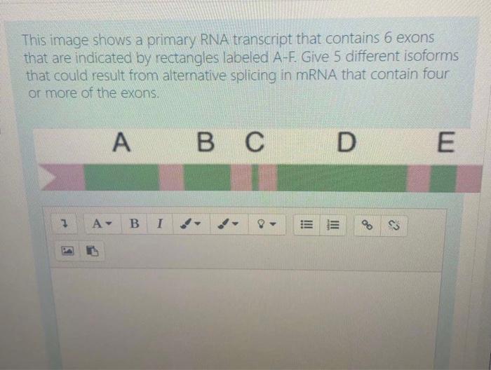 Solved This image shows a primary RNA transcript that | Chegg.com