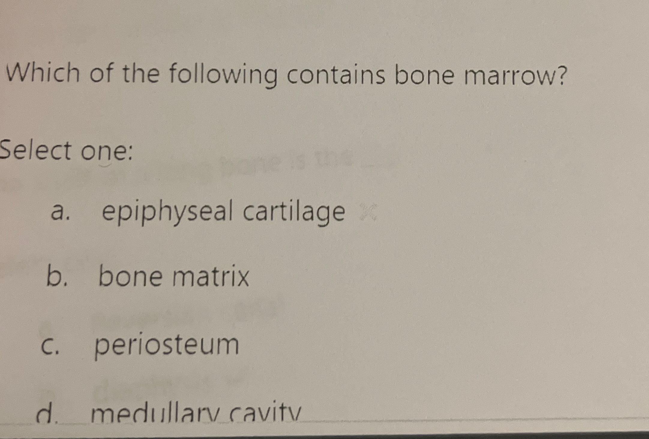 Solved Which of the following contains bone marrow?Select | Chegg.com