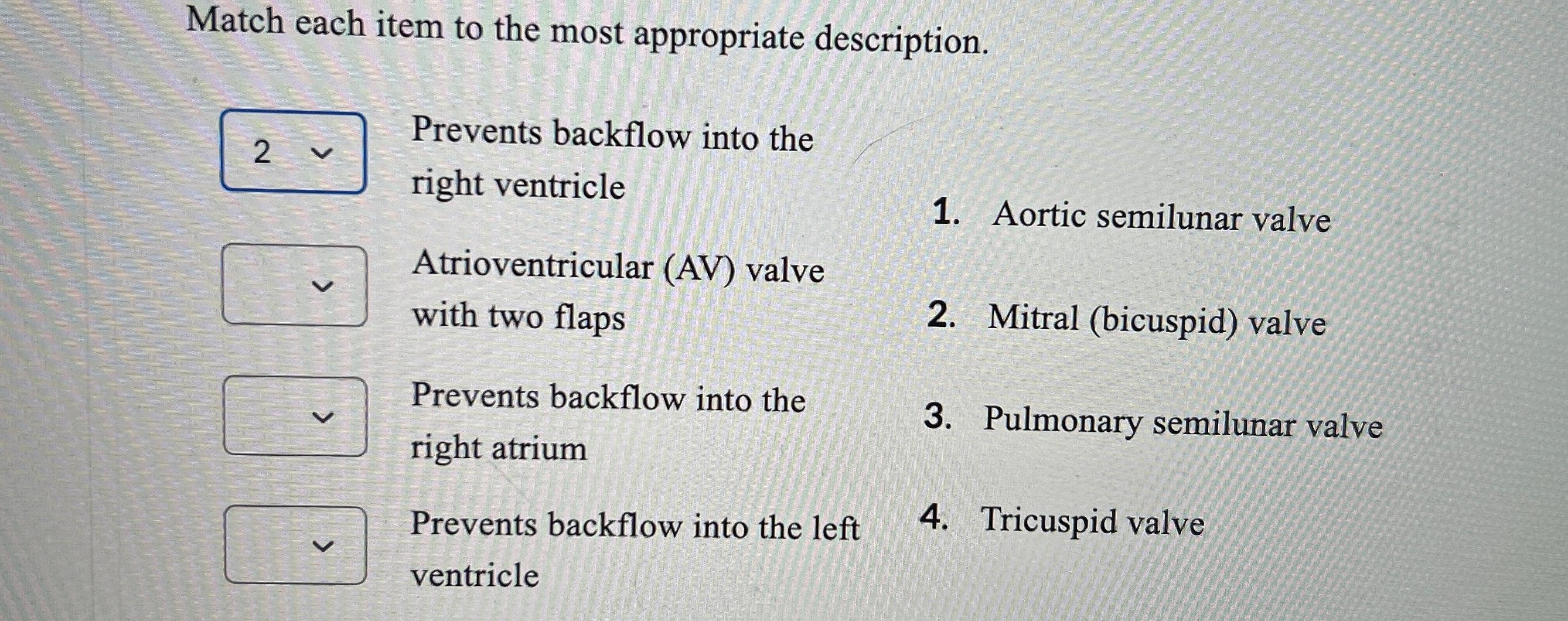 Solved Match each item to the most appropriate | Chegg.com