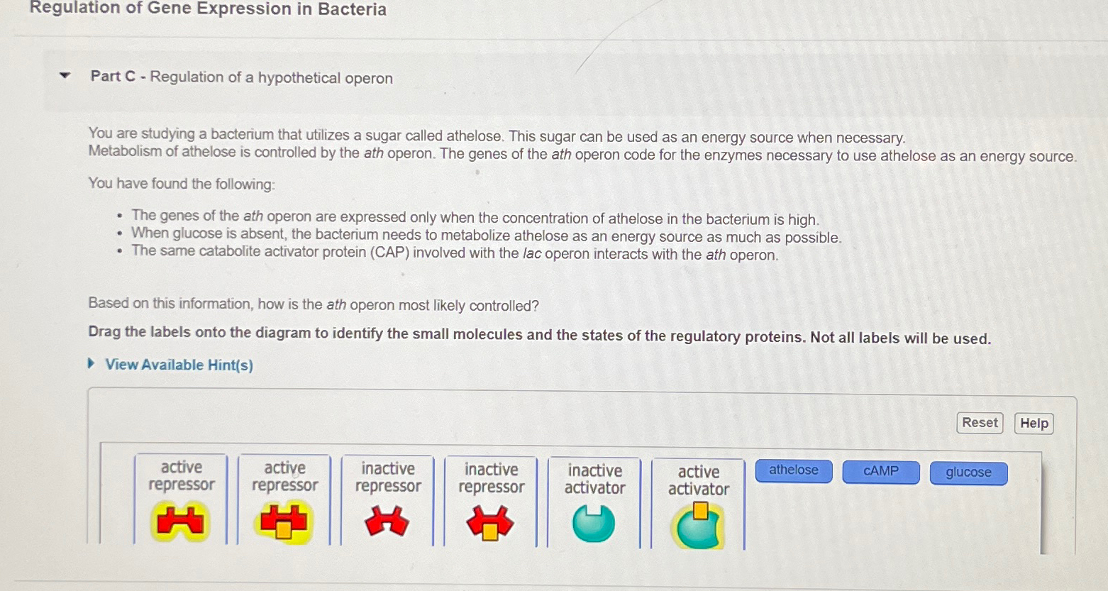 Solved Regulation of Gene Expression in BacteriaPart C - | Chegg.com