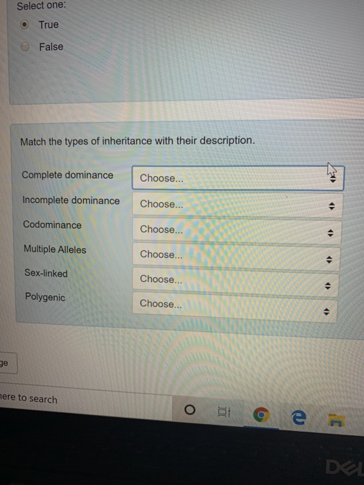 Solved Select one: of O True False 10 Match the types of | Chegg.com