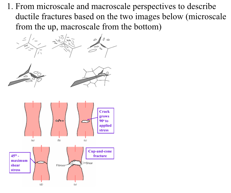 Solved From microscale and macroscale perspectives to | Chegg.com