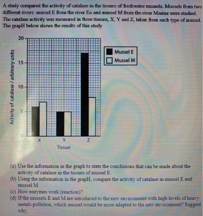 Solved A study compared the activity of catalase in the | Chegg.com