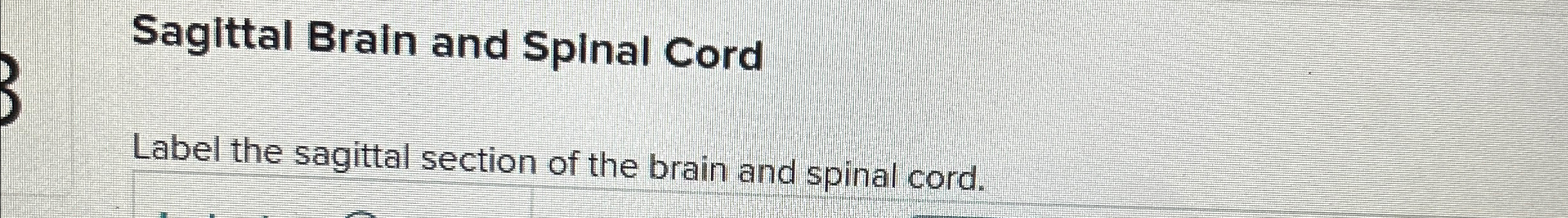 Solved Sagittal Brain and Spinal CordLabel the sagittal | Chegg.com