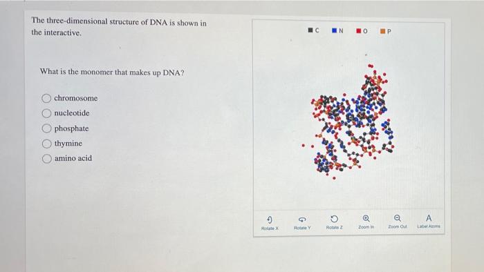 Solved The three-dimensional structure of DNA is shown in | Chegg.com