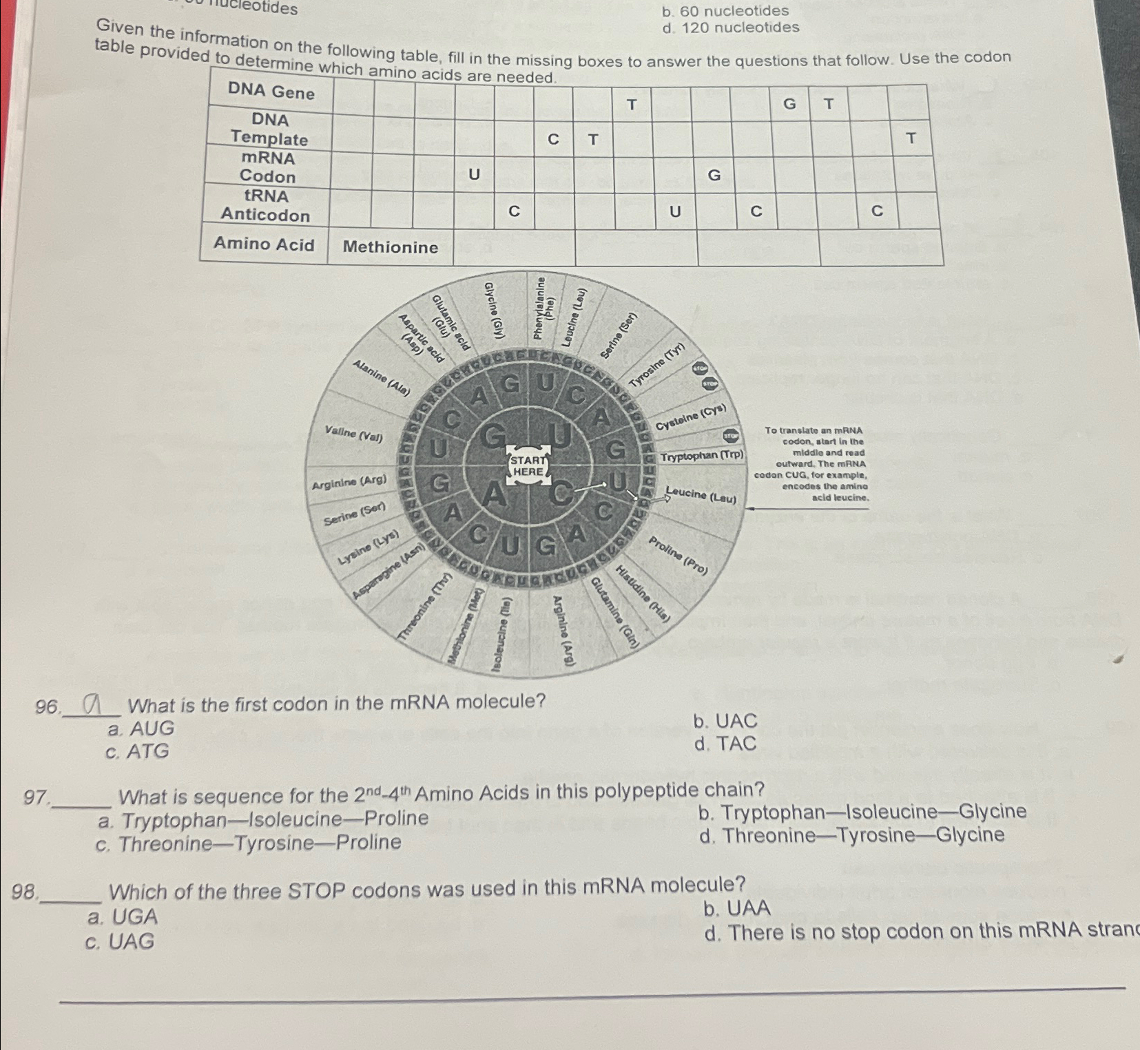 Solved b. 60 ﻿nucleotidesd. 120 ﻿nucleotidesGiven the | Chegg.com