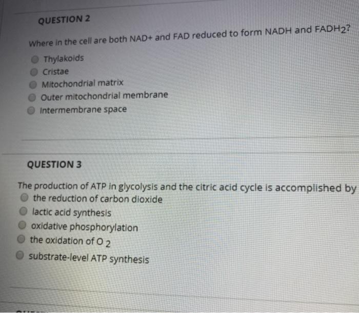 Solved QUESTION 2 Where in the cell are both NAD+ and FAD | Chegg.com
