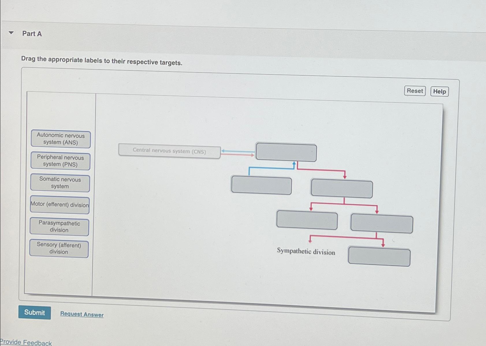 Solved Part ADrag the appropriate labels to their respective | Chegg.com