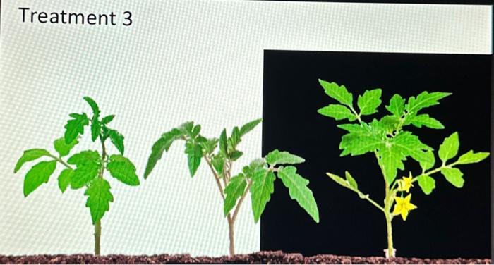 Solved Exercise 1.1 - Plant Growth Data To determine the | Chegg.com