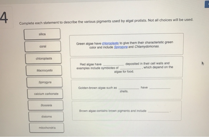 Solved Complete each statement to describe the various | Chegg.com