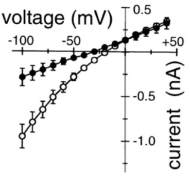 Solved Question 3: You analyze an unknown channelYou are | Chegg.com