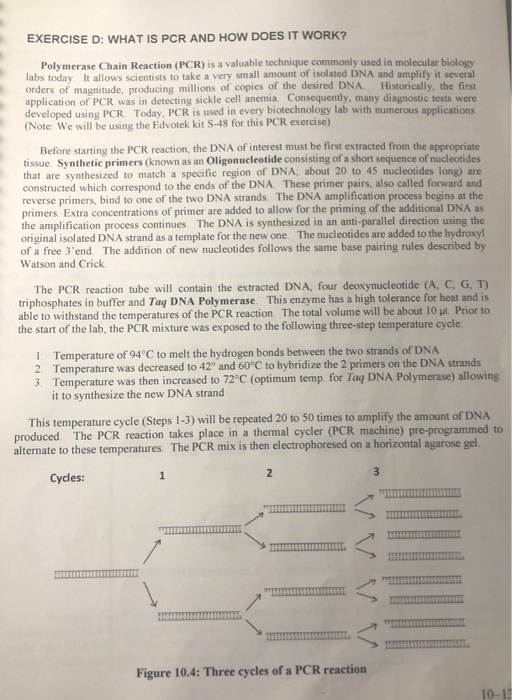 EXERCISE D: WHAT IS PCR AND HOW DOES IT WORK? | Chegg.com