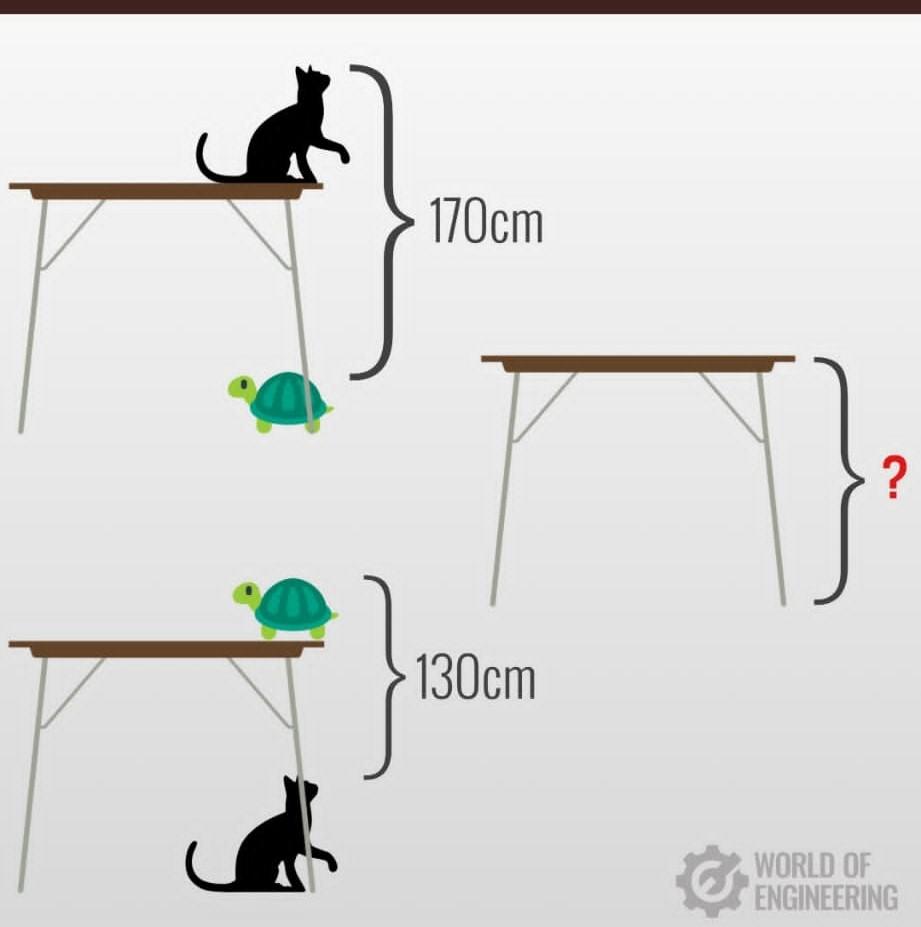 Solved 170cm ? 130cm WORLD OF ENGINEERING | Chegg.com