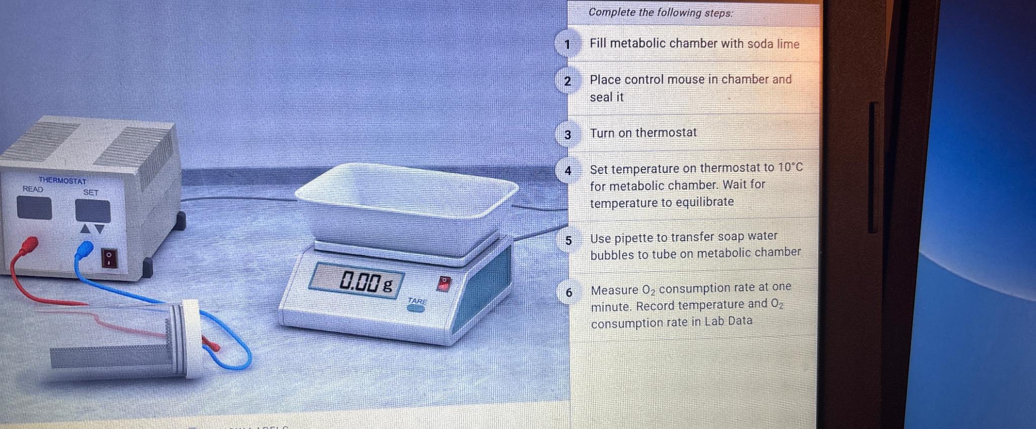 Solved Complete the following steps:1 ﻿Fill metabolic | Chegg.com