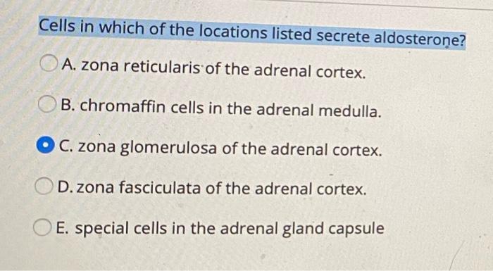 Solved Cells in which of the locations listed secrete | Chegg.com