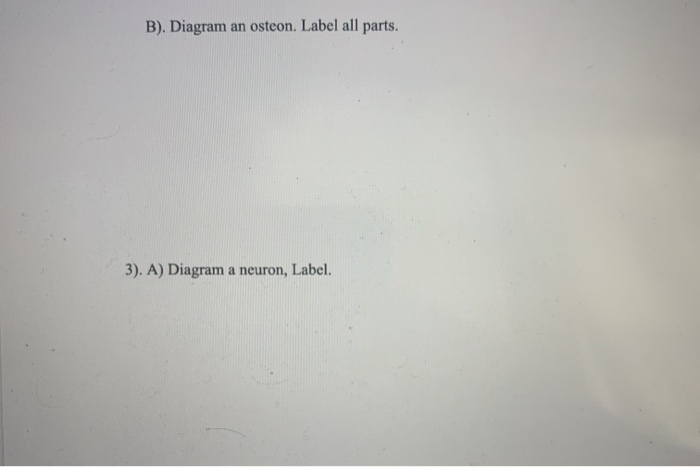 Solved B). Diagram an osteon. Label all parts. 3). A) | Chegg.com