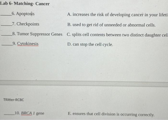 Solved Lab 6- Matching- Cancer 6. Apoptosis A. increases the | Chegg.com Solved Lab 6- Matching- Cancer 6. Apoptosis A. increases the | Chegg.com