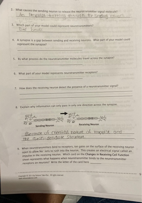 Solved 2. What causes the sending neuron to release the | Chegg.com