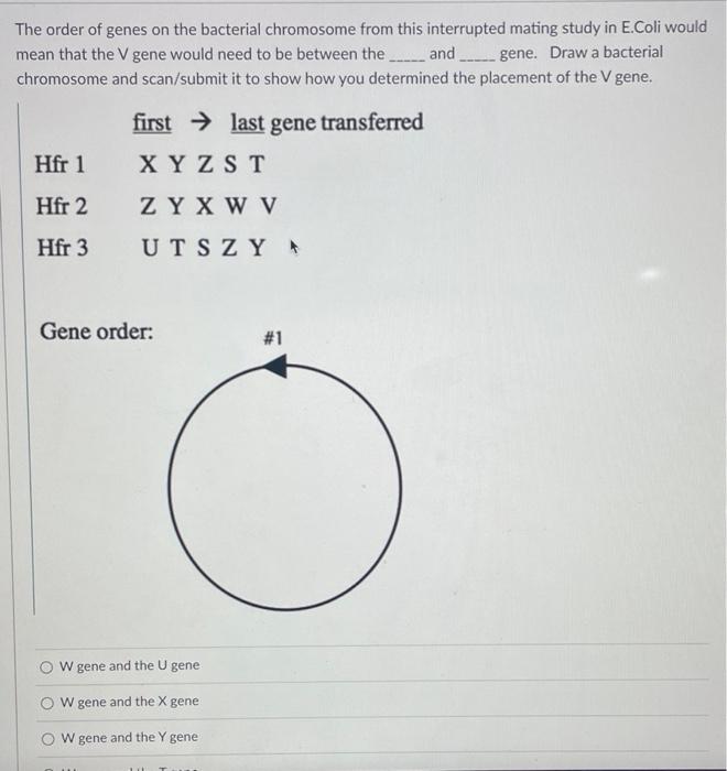 Solved The order of genes on the bacterial chromosome from | Chegg.com