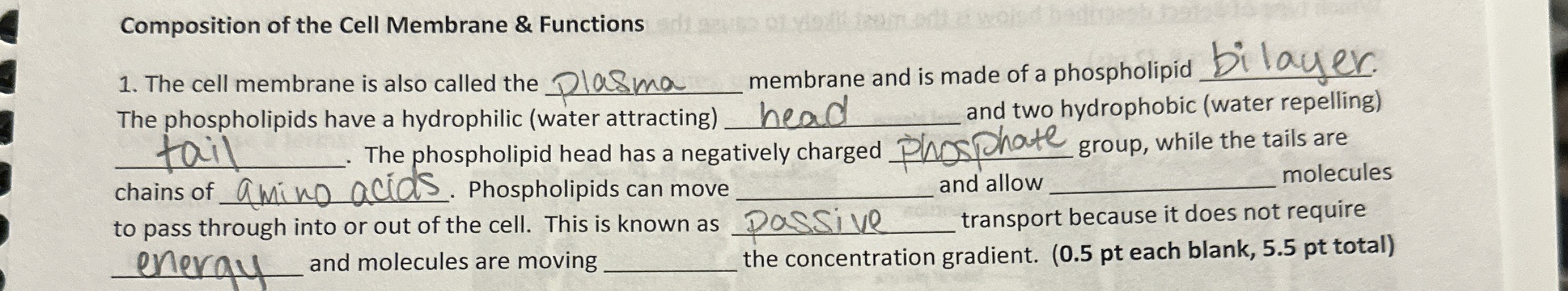 Solved Composition of the Cell Membrane & FunctionsThe cell | Chegg.com