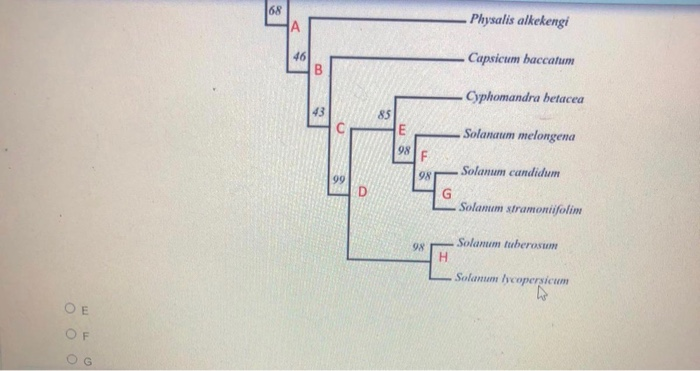 Solved What is the difference between derived and ancestral | Chegg.com