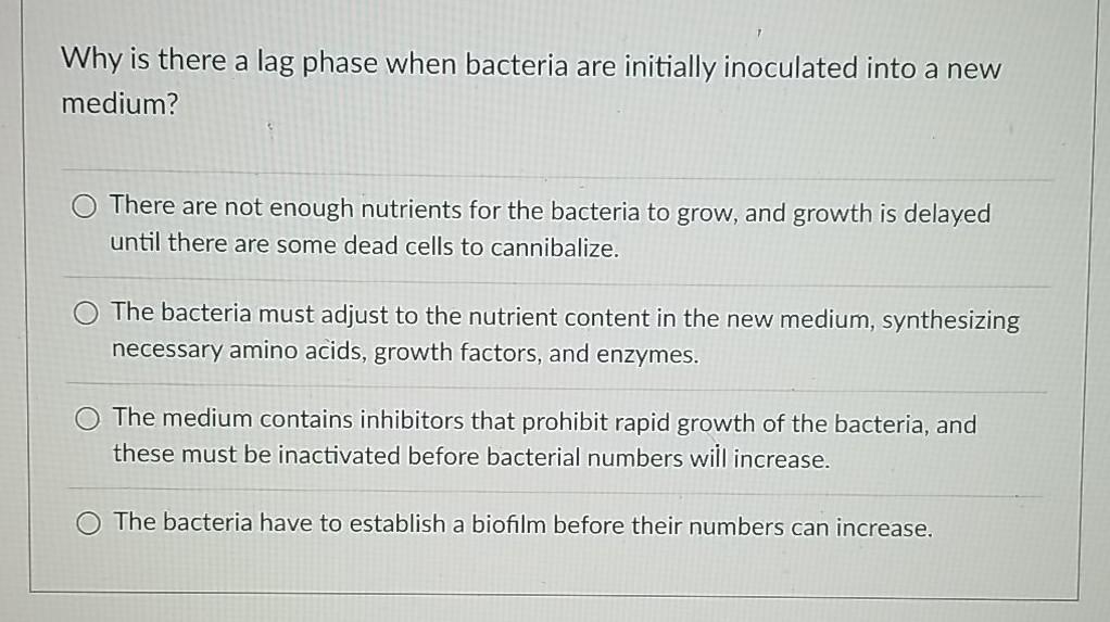 Solved Why is there a lag phase when bacteria are initially | Chegg.com