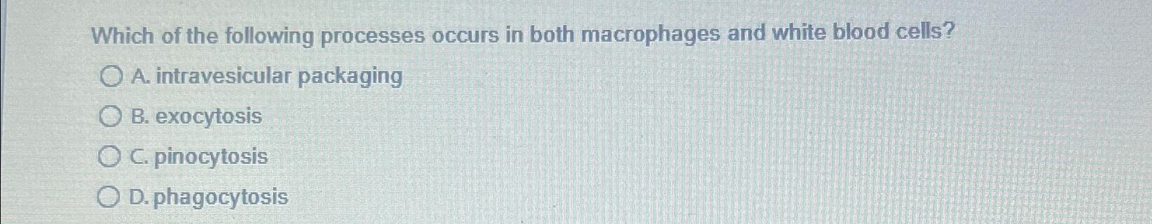 Solved Which of the following processes occurs in both | Chegg.com